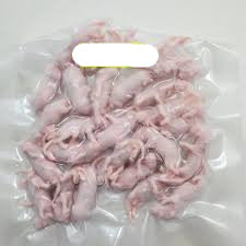 Frozen Pinkie Mouse – Stingers Reptile Specialty