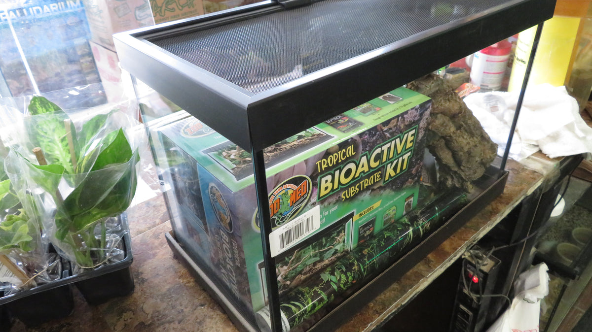 Bio-active Starter Terrarium small – Stingers Reptile Specialty